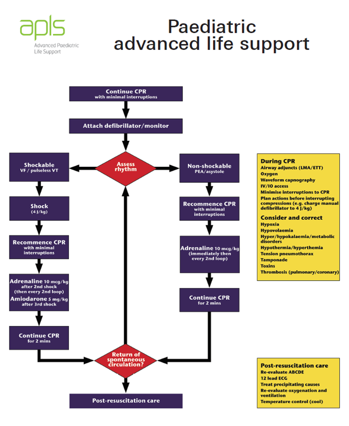 Advanced paediatric life support